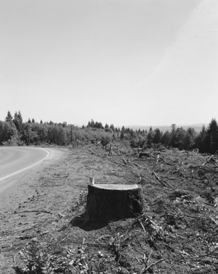 Our Poor Perishable World | The Common