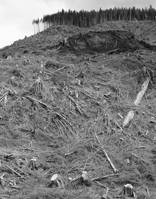 Our Poor Perishable World | The Common