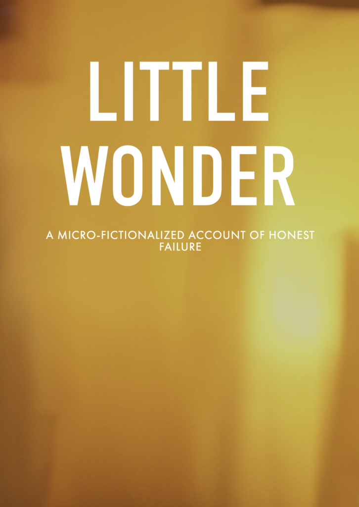 Little Wonder | The Common