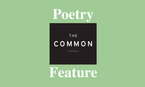 June 2019 Poetry Feature: Eleanor Stanford | The Common