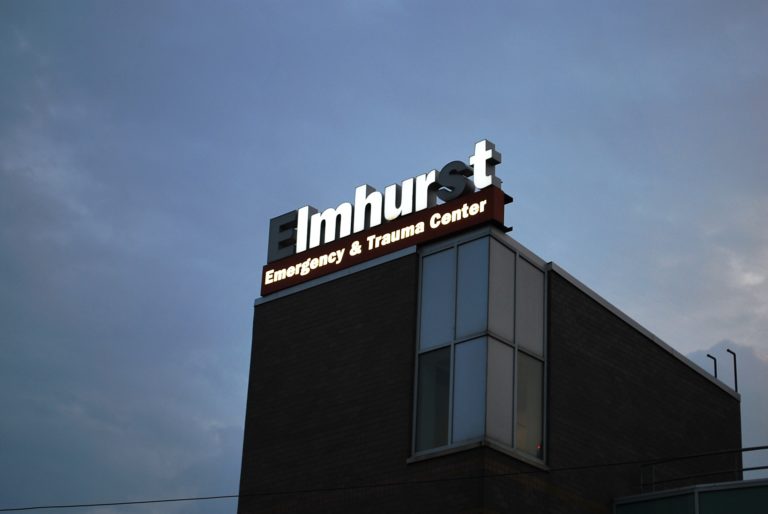 Maria Terrone | The Common