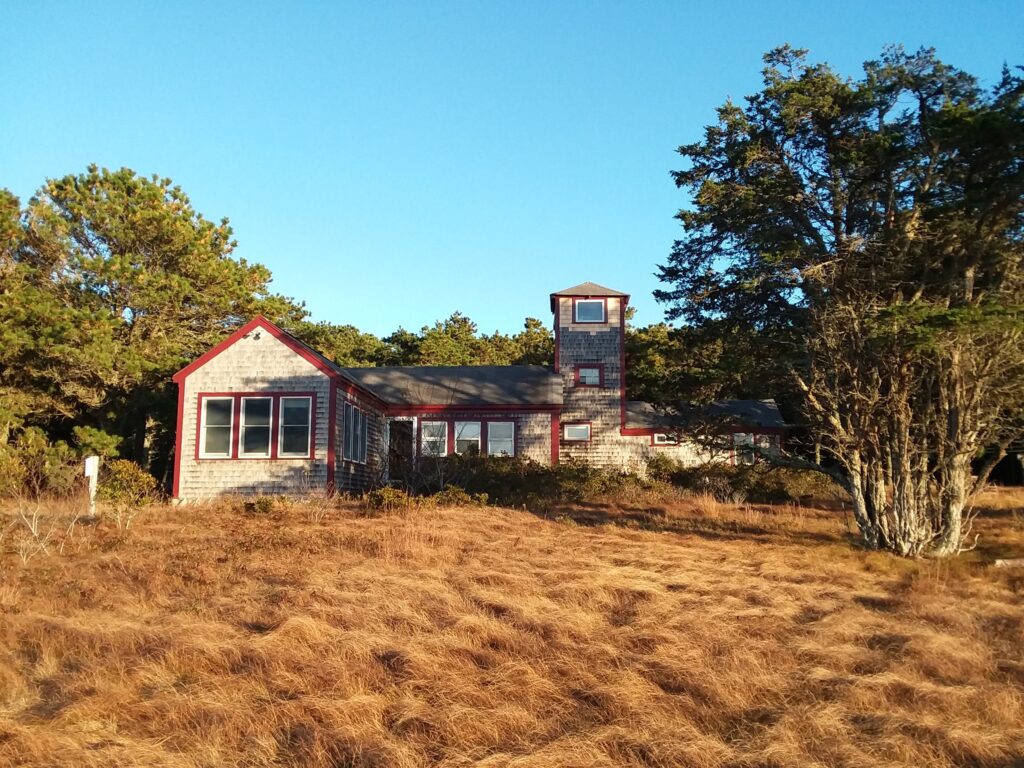 Lost Farm | The Common