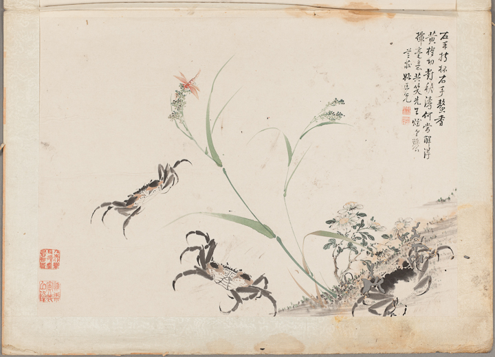 Reading List: Asian American and Pacific Islander Heritage | The Common