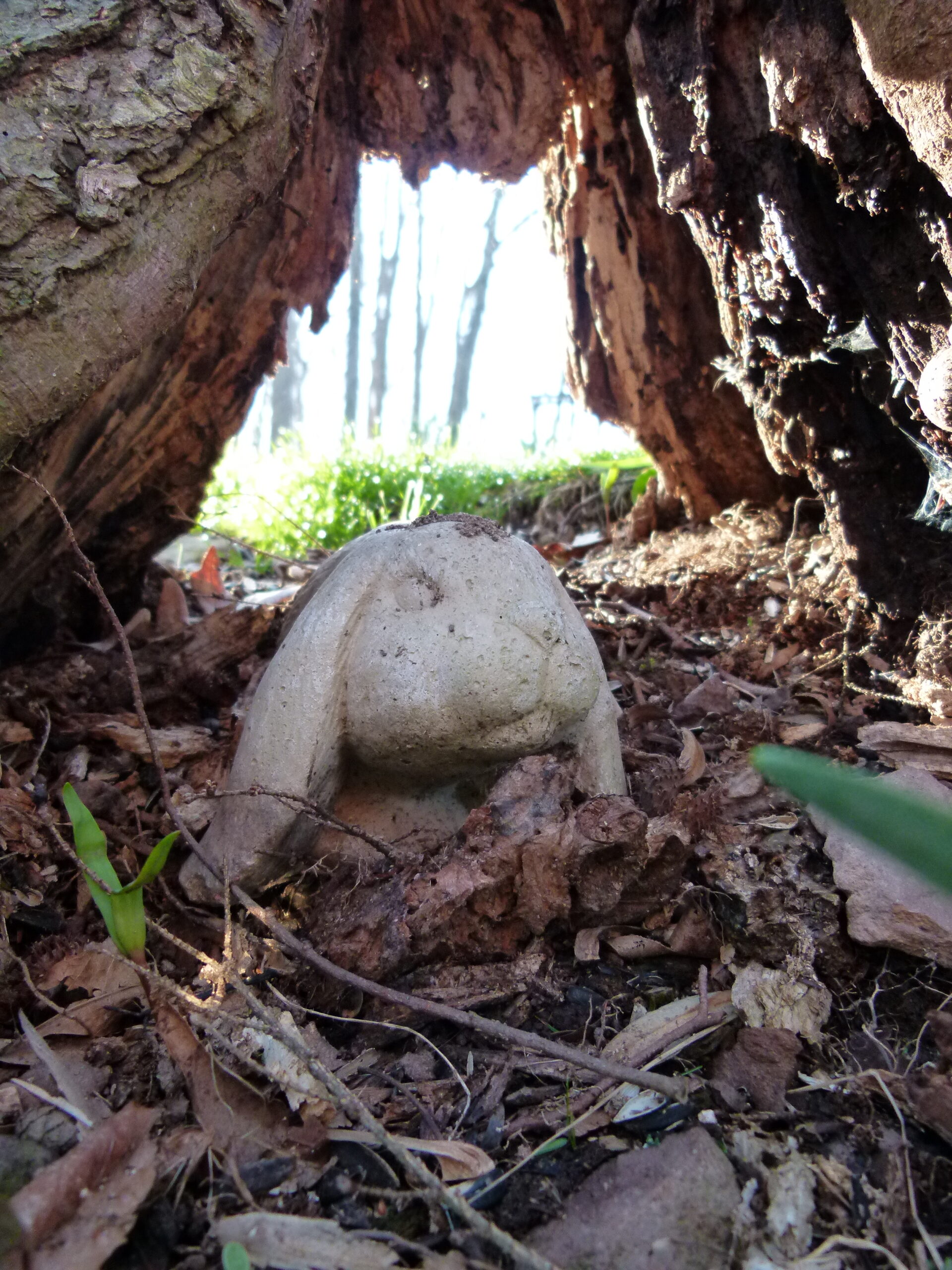 Ugly Trees | The Common