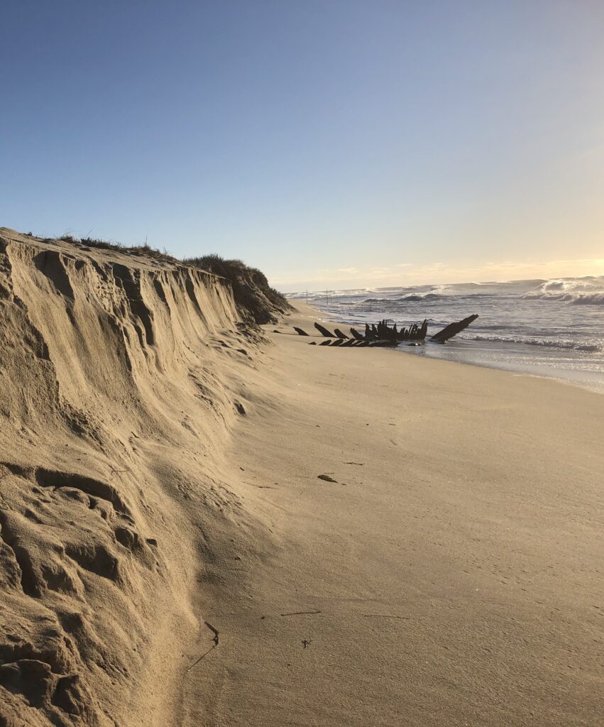 Effluent of the Affluent | The Common