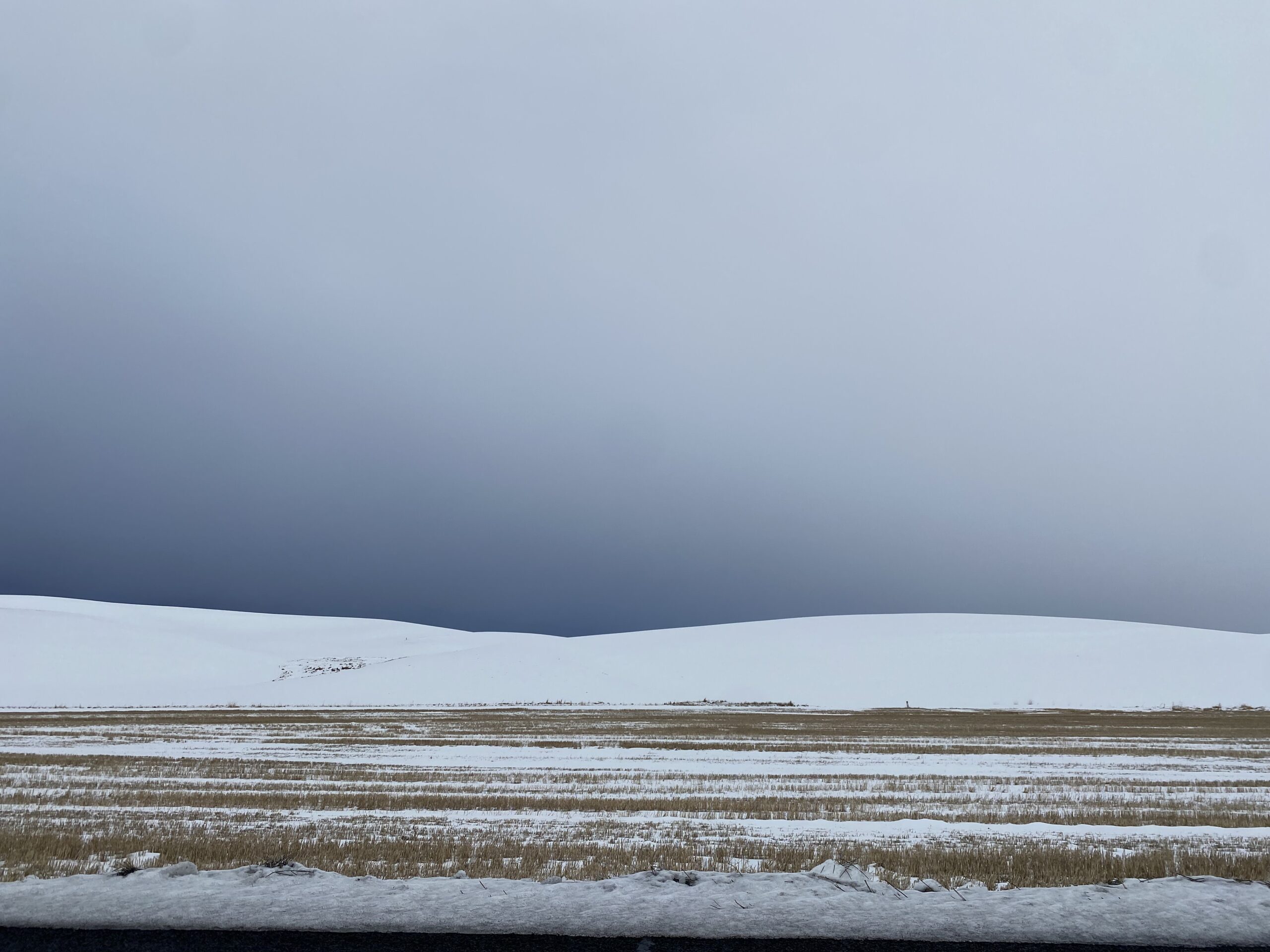 Dispatch from Moscow, Idaho | The Common