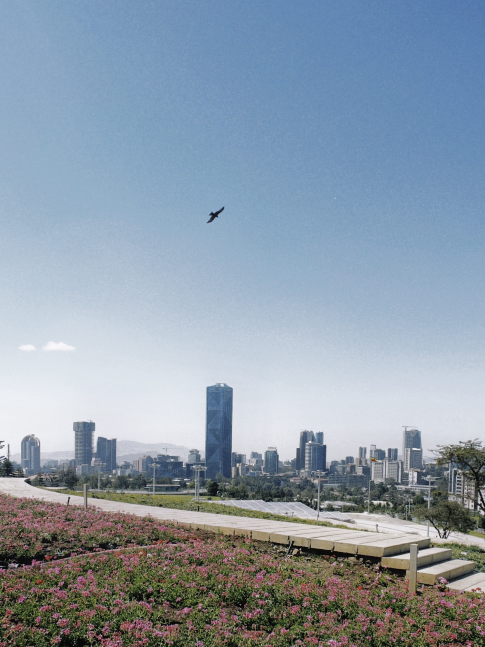 Addis Ababa Beté | The Common