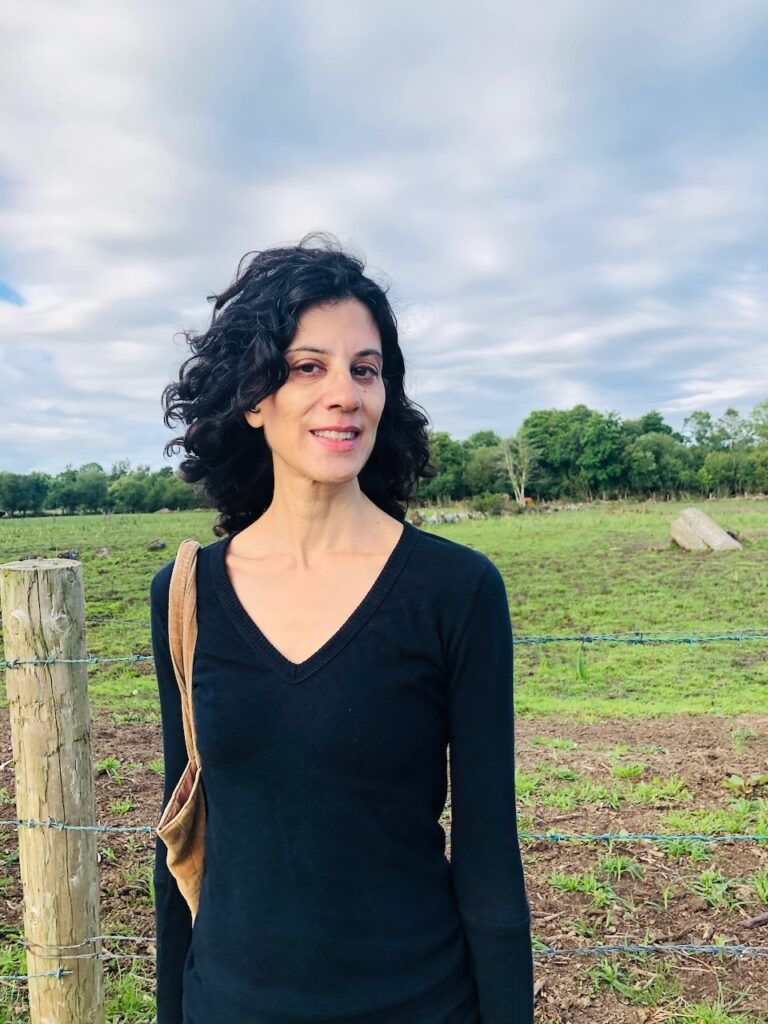 Civitella Library, Italian Section | The Common