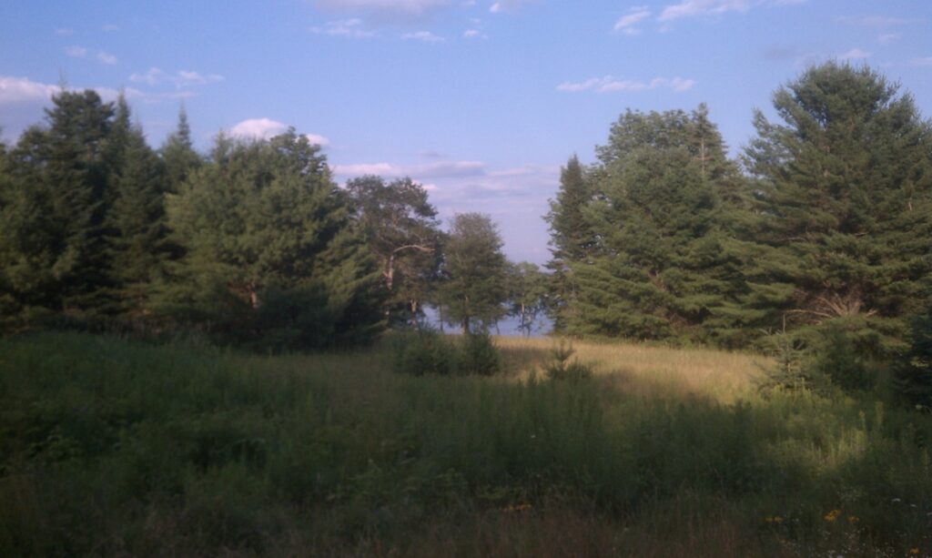 Two Poems by Michael Mercurio | The Common