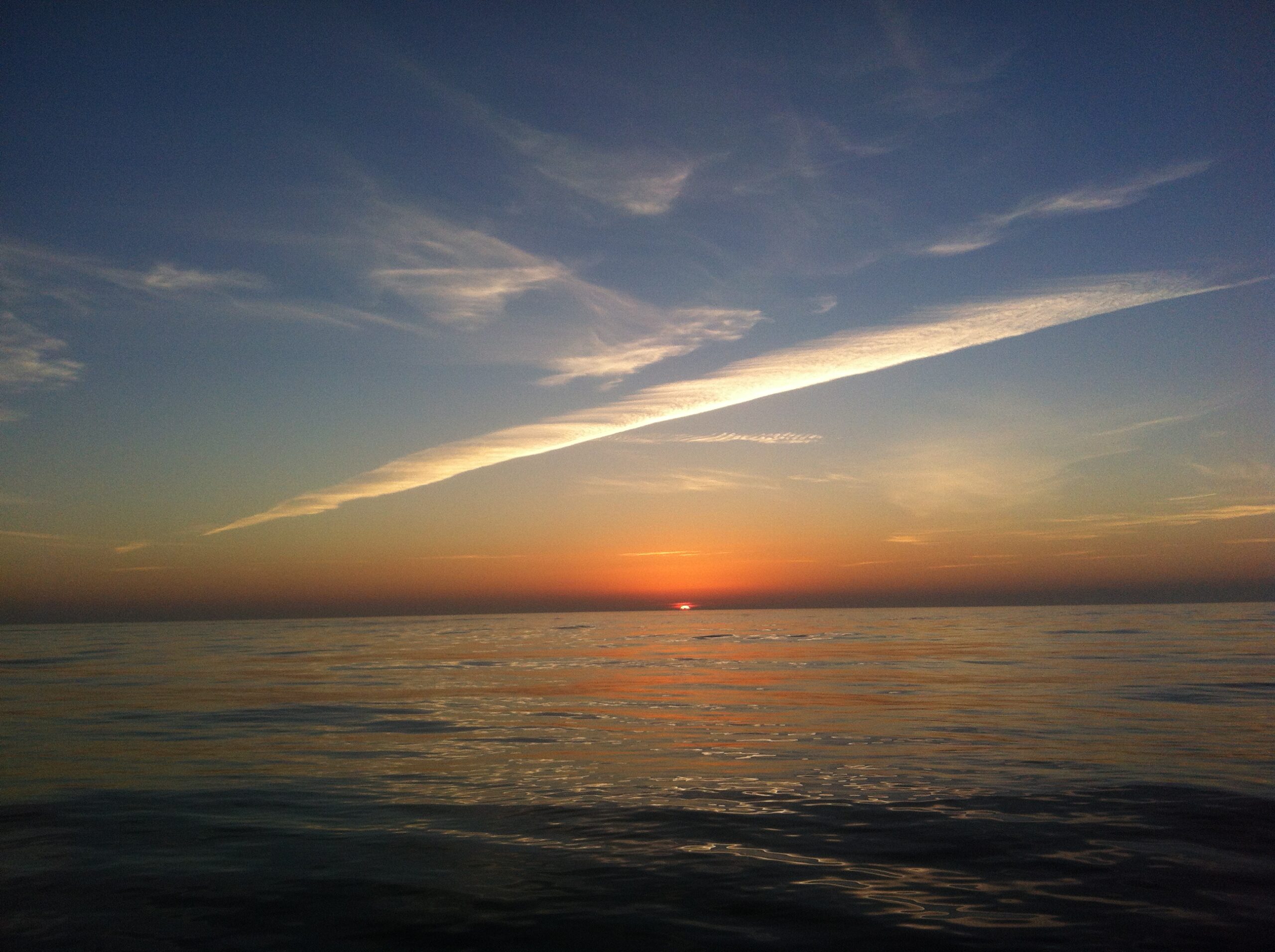 Dispatches | The Common