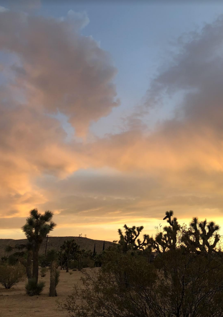 Mala Beads | The Common