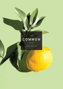 The Common | A Modern Sense of Place: Stories, Poems, Essays & Images